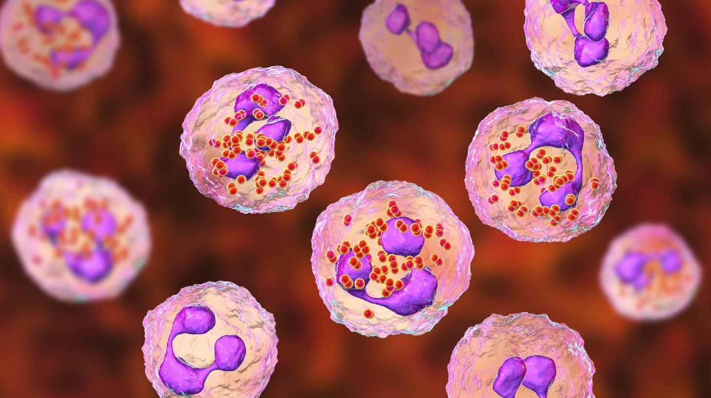 6 Things to Know About Meningococcal Disease: Symptoms, Treatment & Vaccine