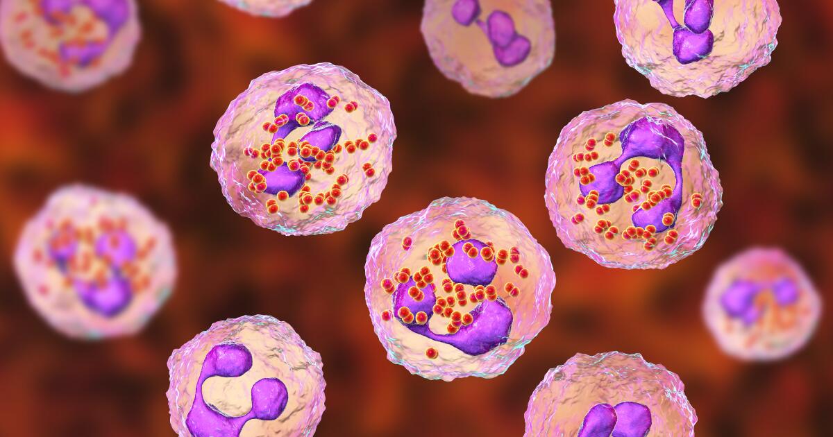 6 Things to Know About Meningococcal Disease: Symptoms, Treatment & Vaccine